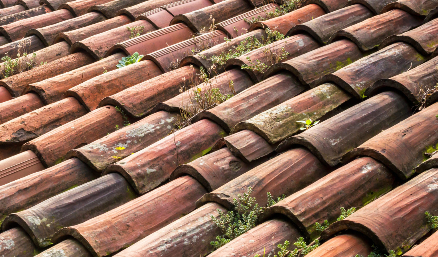 Samuel Moore Roofing – Flat Roof Specialists